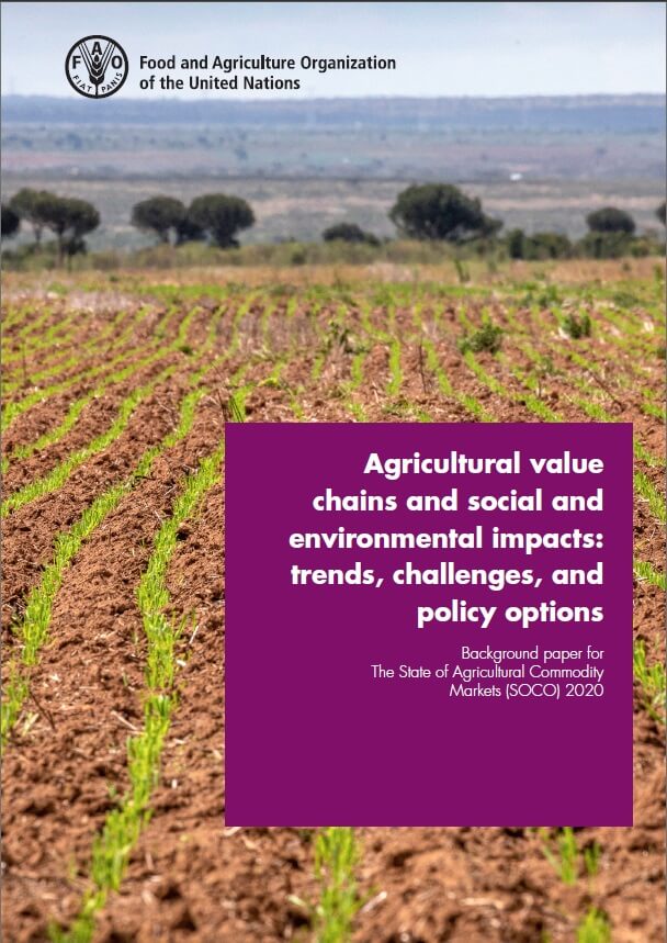 Agricultural value chains and social and environmental impacts: Trends, challenges, and policy ...